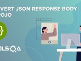How To Convert Json To Java Object Using Seriallization With Example